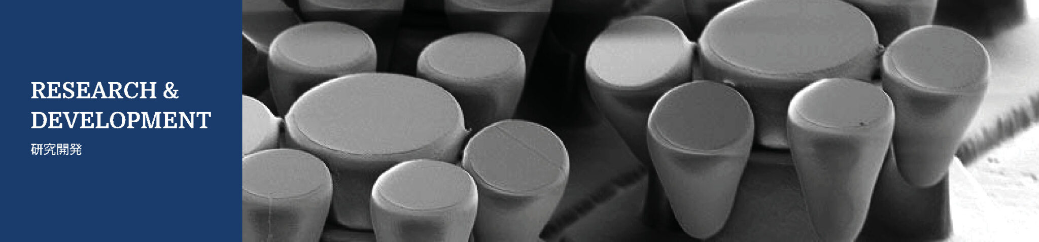 Research & Development - SUZUKI HIGH-TECH, INC.